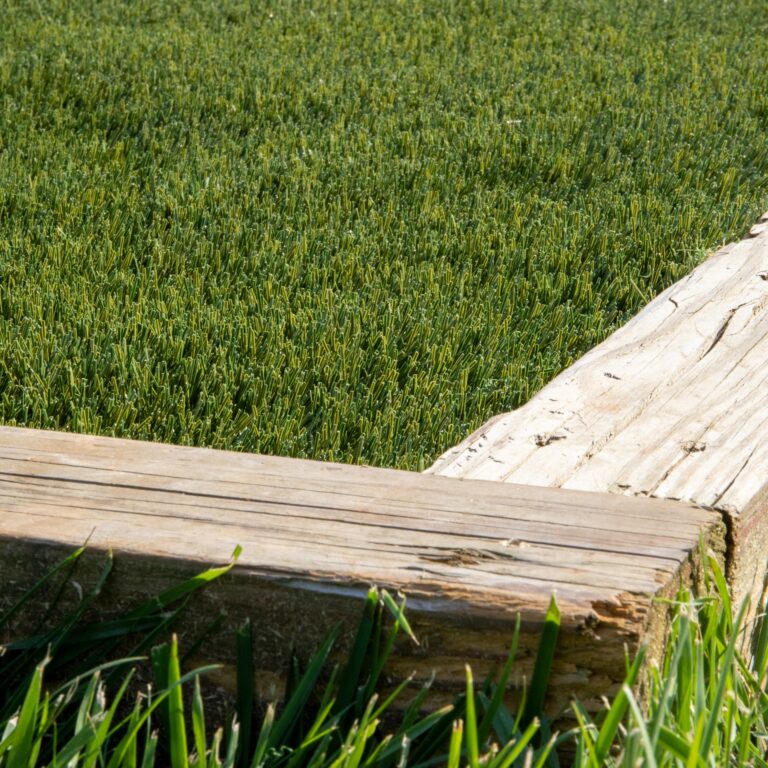 How Much Does Artificial Grass Cost: Pricing Guide in 2025